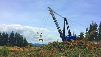 Non-Compacted Forestry Ropes | Cookes