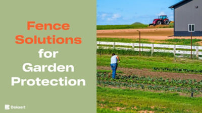 The BEST Fence Solutions for Garden Protection