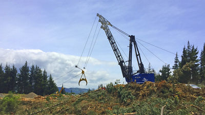 Swaged Forestry Ropes | Cookes